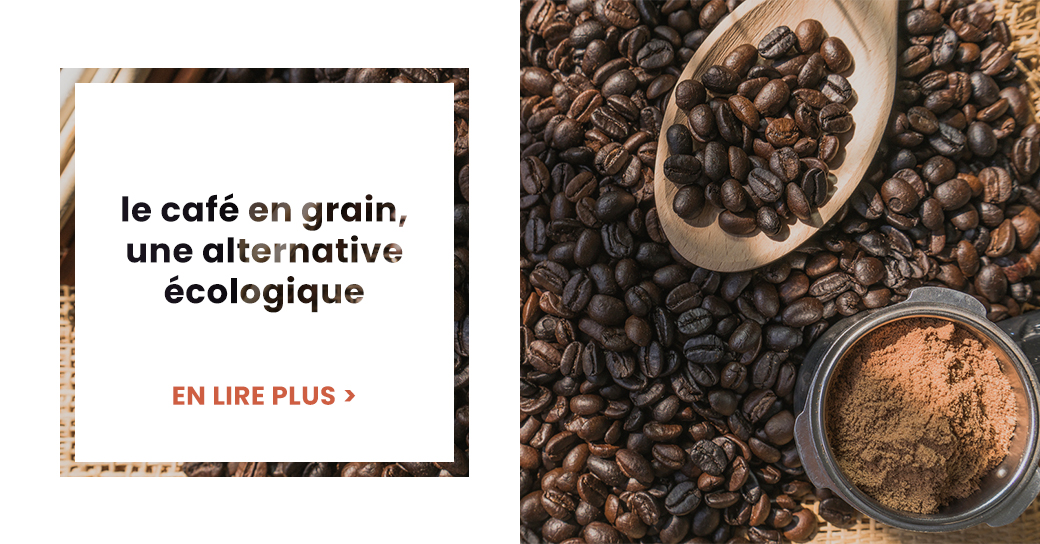 Le café en grain est plus écologique et écoresponsable - Pleyce